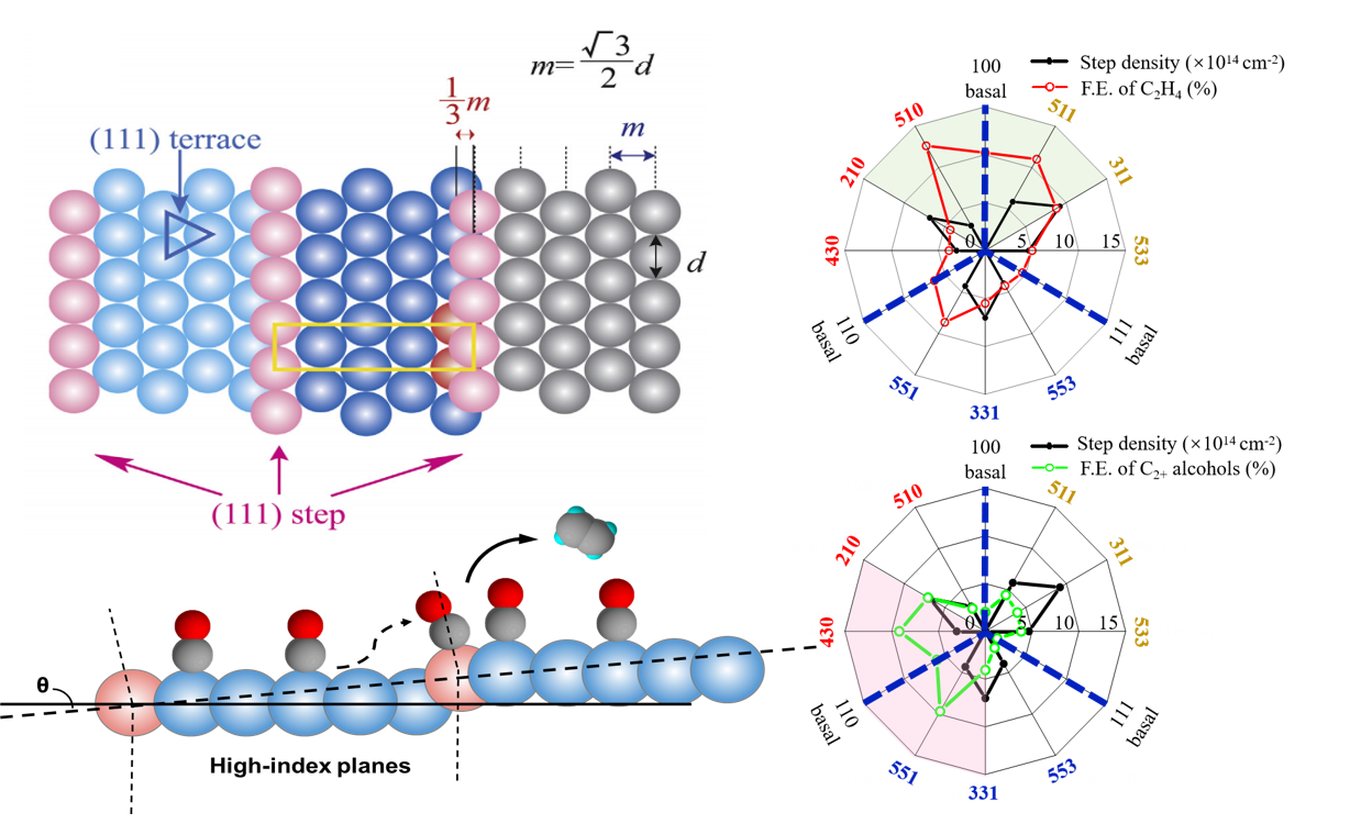 复旦大学化学系张黎明课题组