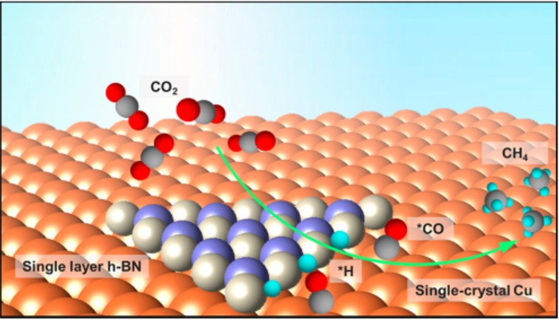 复旦大学化学系张黎明课题组